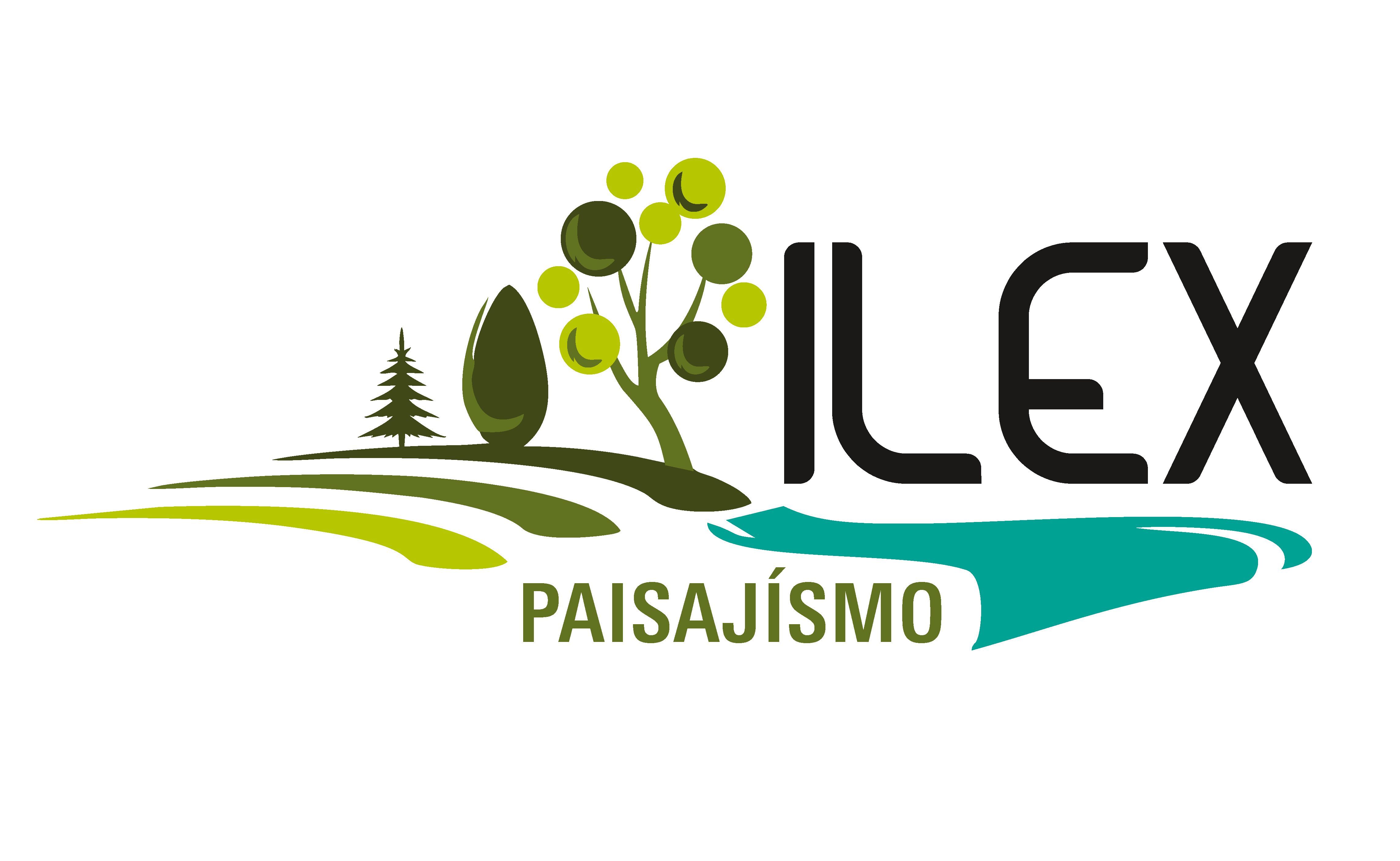 Ilex Paisajísmo